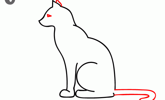 كيف ارسم قطة - ليدي بيرد